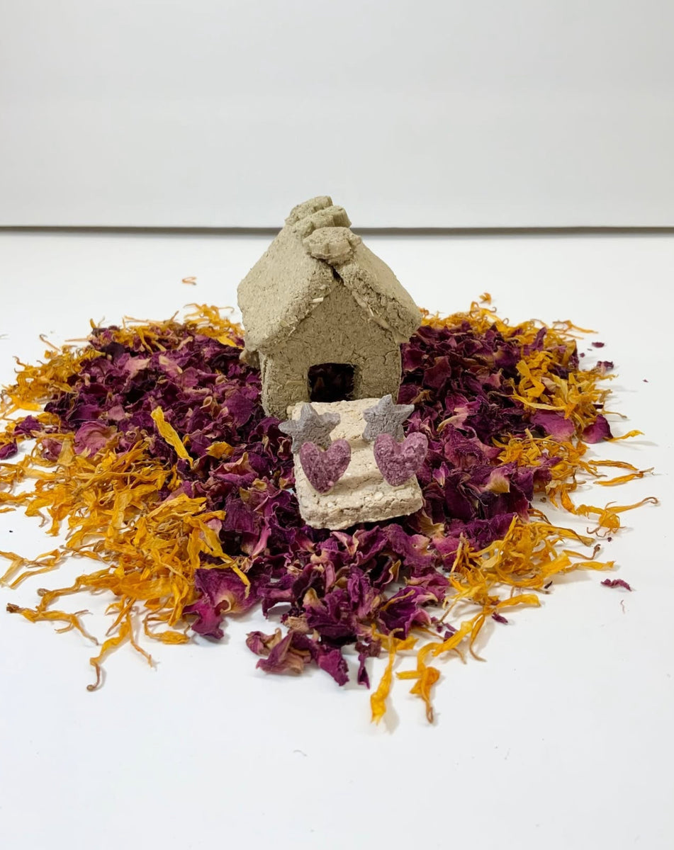 Maison pain d’épice DIY - No Furries Delights – refuge-alsa